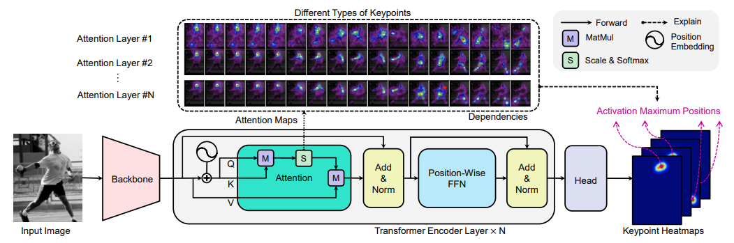 [paper review] TransPose: Keypoint Localization via Transformer | by 小連同學 | Medium