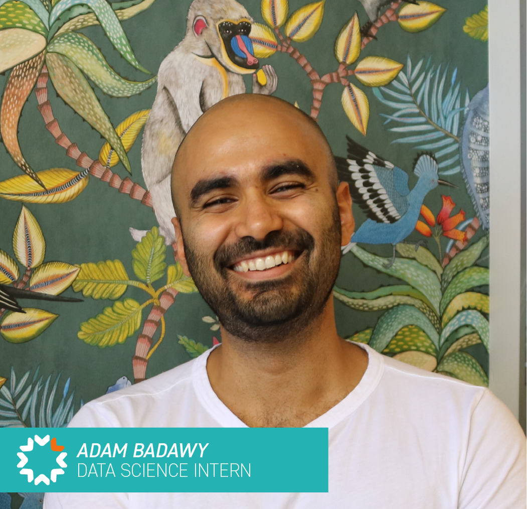 Fighting Fraud with Adam Badawy, Tala’s Summer Data Science Intern | by ...