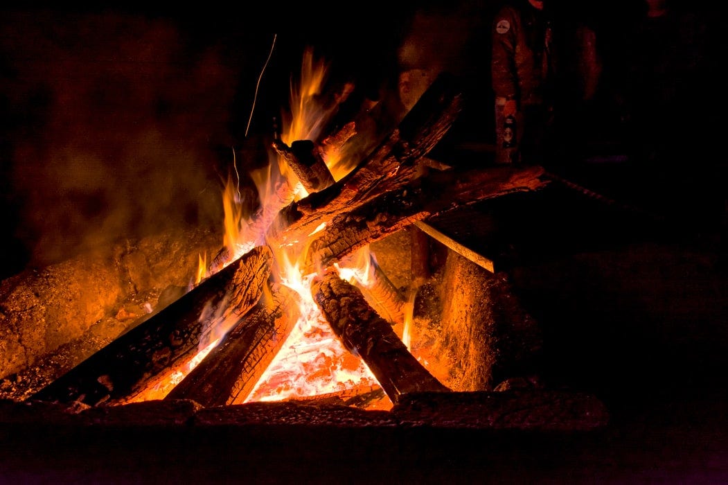 Kiln-dried Wood for Quality Wood. The practice of kiln-drying | by Mark ...