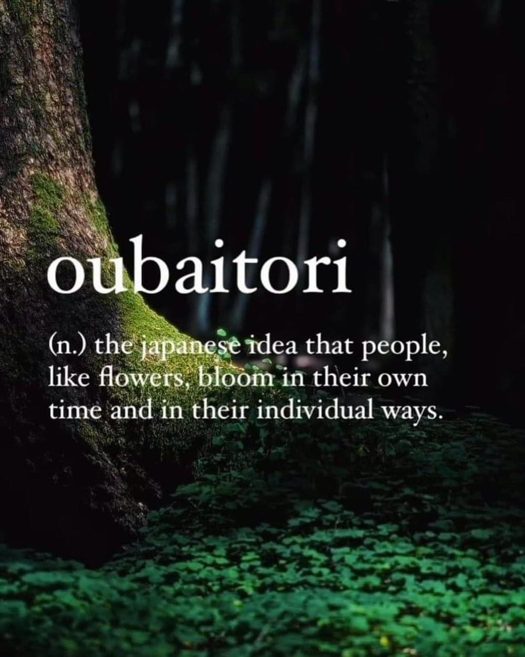 #279 Oubaitori (桜梅桃李). The linguist in me is always intrigued… | by ...