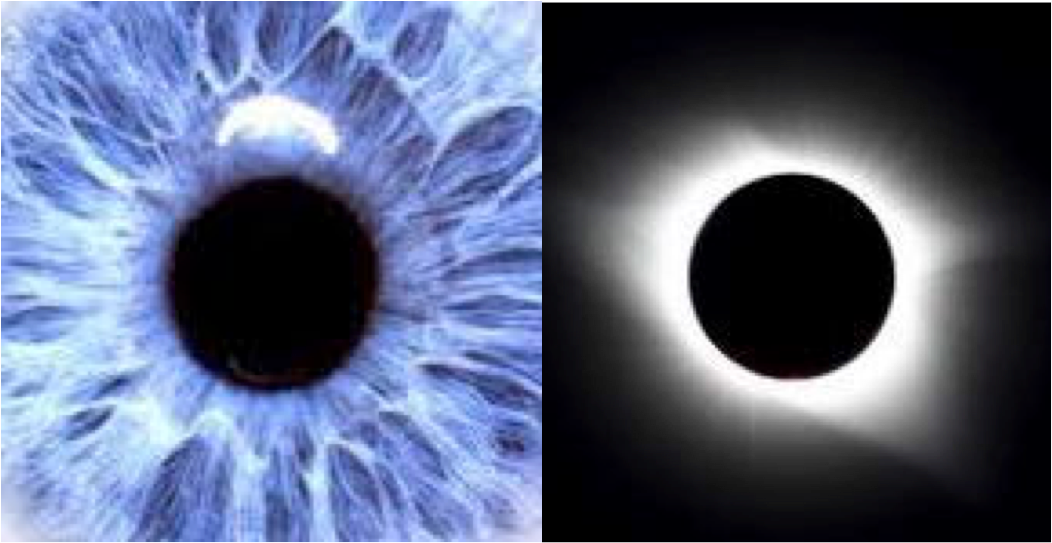 An Ideal Totality Experience. Planning and intention for optimal… | by ...