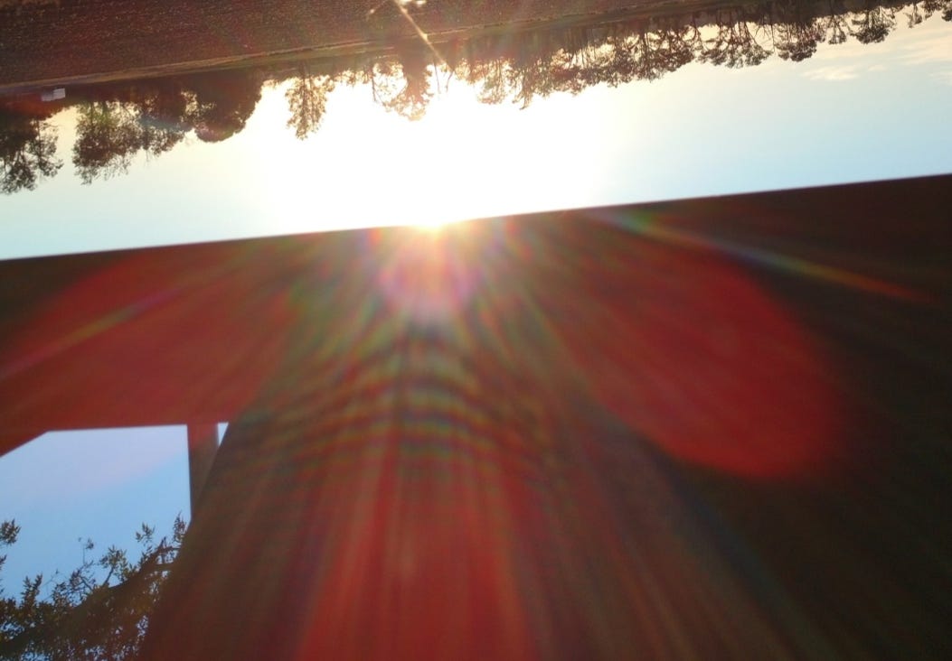 Zoom! A Perspective Piece. knowing what to do with seeing | by Mark W ...