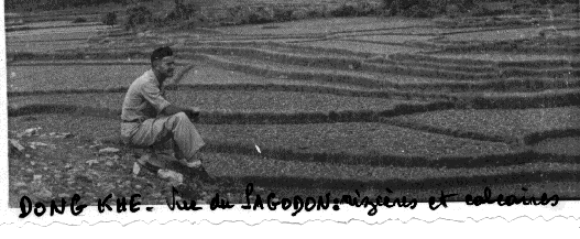 Vietnamese Rice Farmer Gif