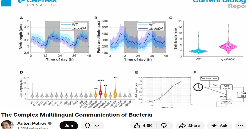 Talking Bacteria. Will we ever not be surprised that all… | by John Ege ...