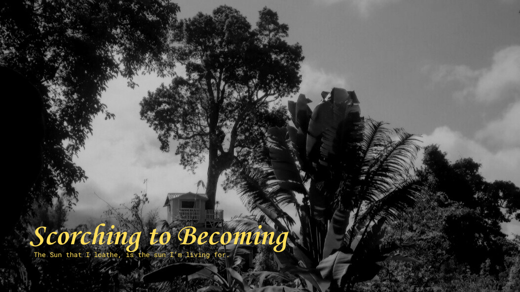 Scorching to Becoming.. “The sun that I loathe, is the sun I’m… | by ...