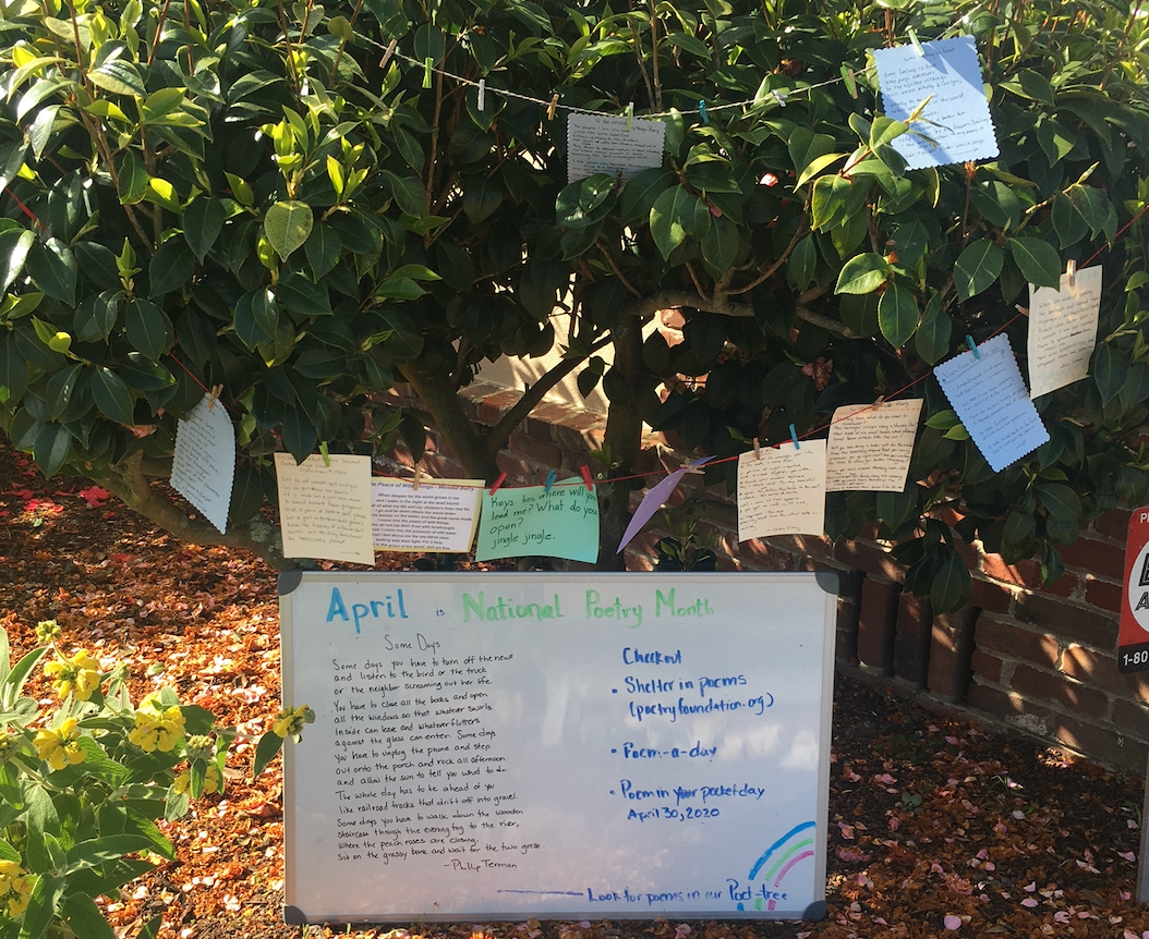 Ready, Set, Go!. It’s Poem in Your Pocket Day and we… | by Elyse Eidman ...