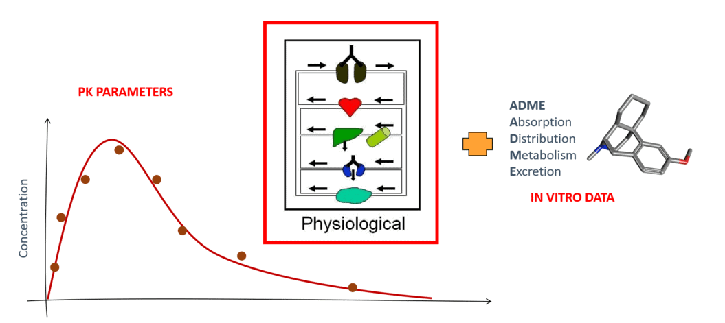 The Science of a Male Birth Control Pill: A Deep Dive into YCT-529’s ...
