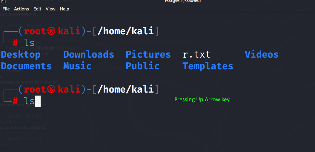 Kali Linux terminal gets ABCD while pressing Arrow keys instead of fetching previous commands of ...
