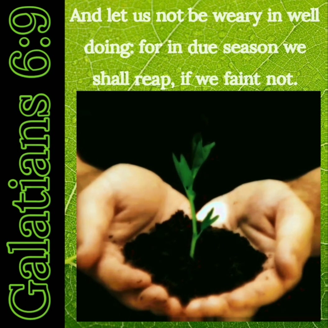 And let us not be weary in well doing: for in due season we shall reap ...
