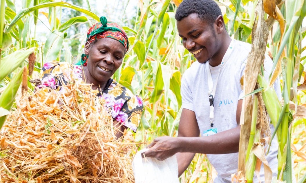 Kenyan farmers want agric insurance with inputs and 81% recommend it ...