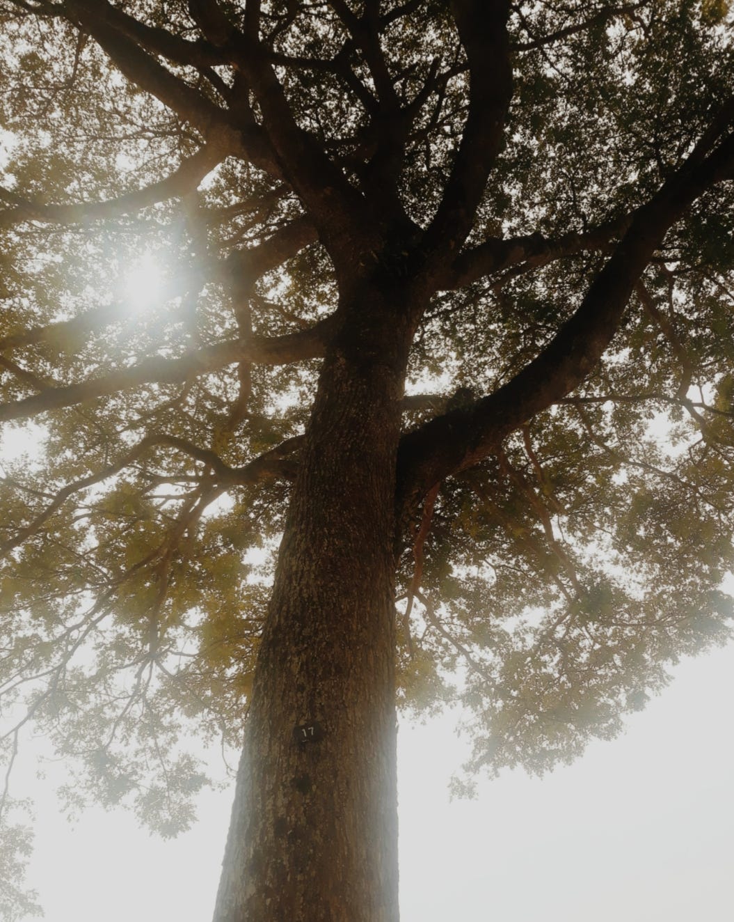 Emotionless, The Sole of Emotion. Be strong Then, how? Be happy Then ...