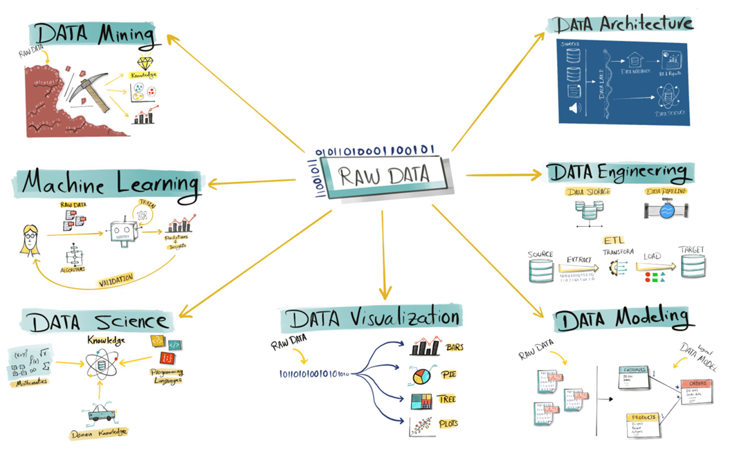 Breaking Down Data Roles: A Beginner’s Guide to Engineers, Scientists ...