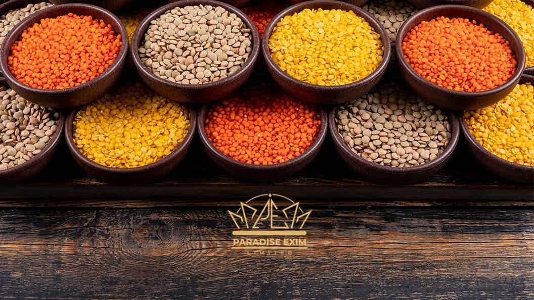 Qualities of a good pulses exporting company | by Paradiseexim | Medium
