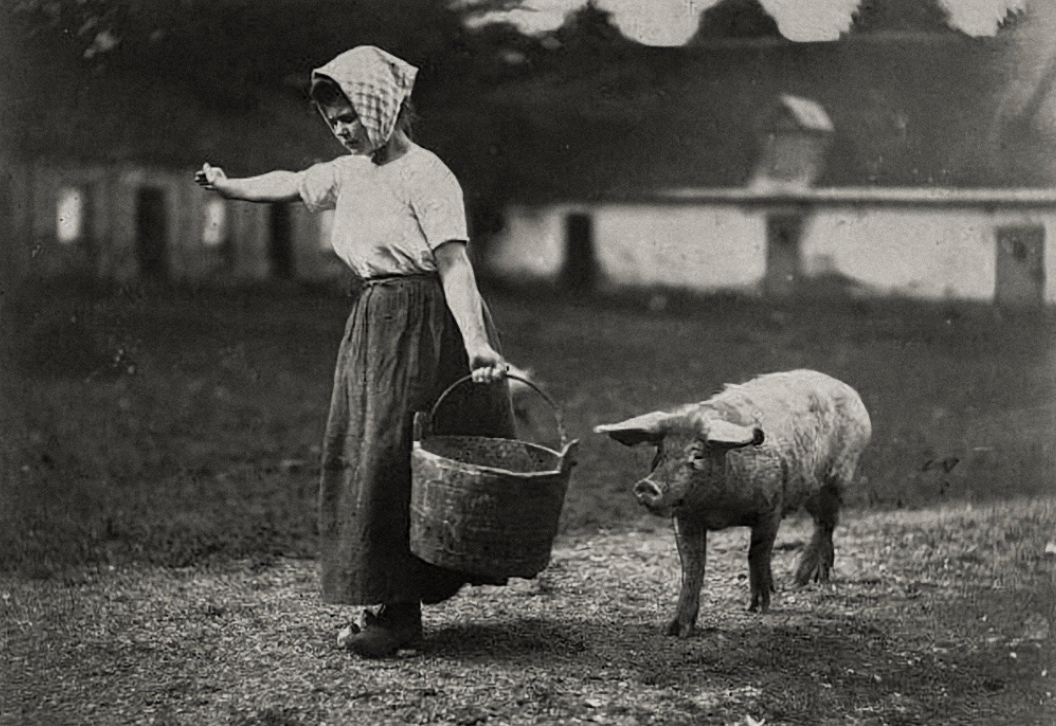 a french maid, a slop bucket, pig. - Maurice Kaehler - Medium