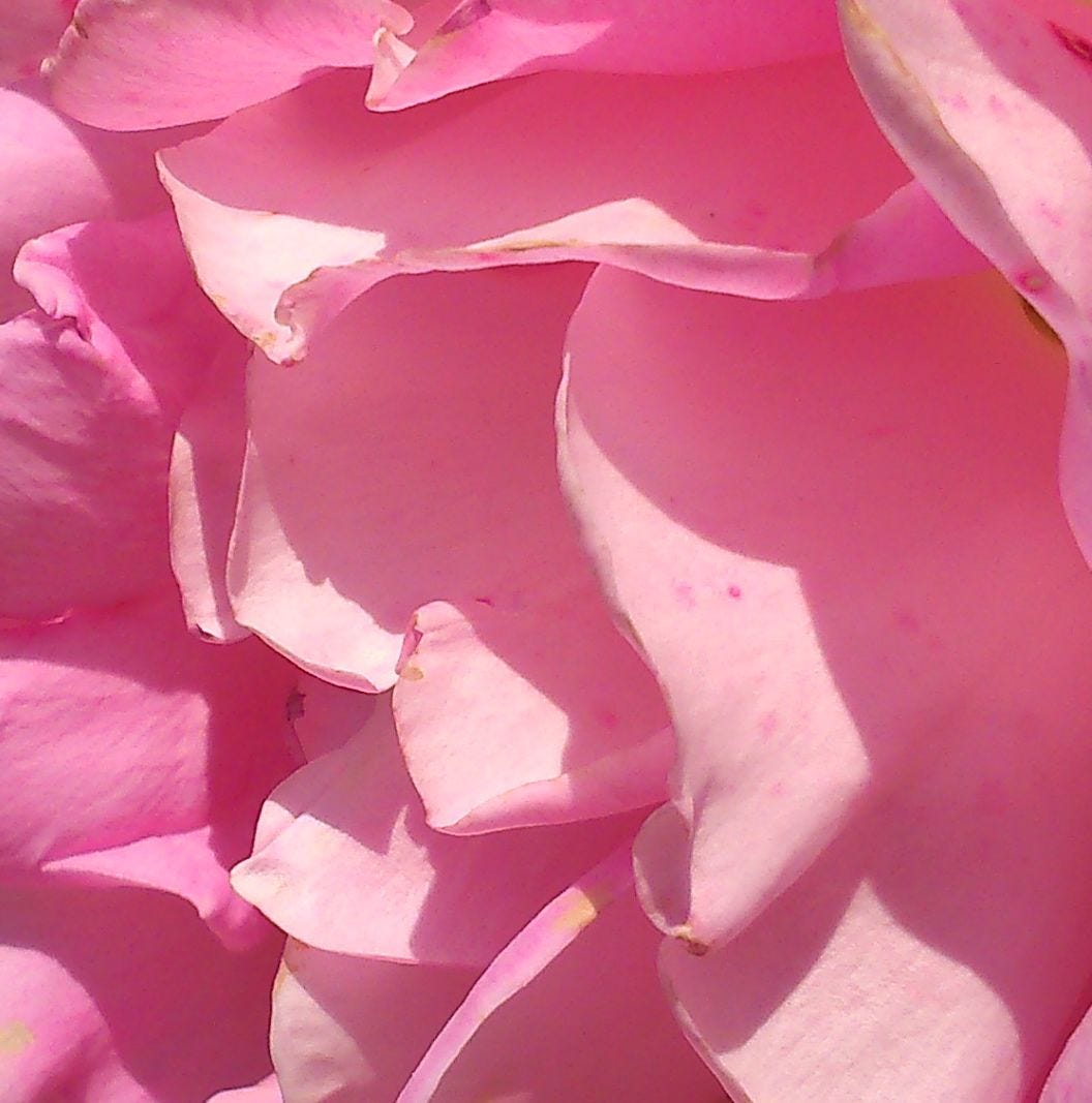VOILA. WORDS FOUND. Puzzle pieces crisscross the feeling. Deep in the ...