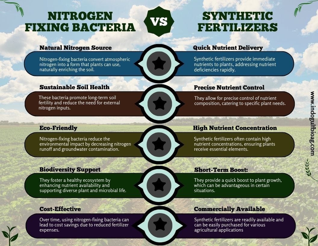 Nitrogen Fixing Bacteria: A Natural Alternative to Synthetic ...