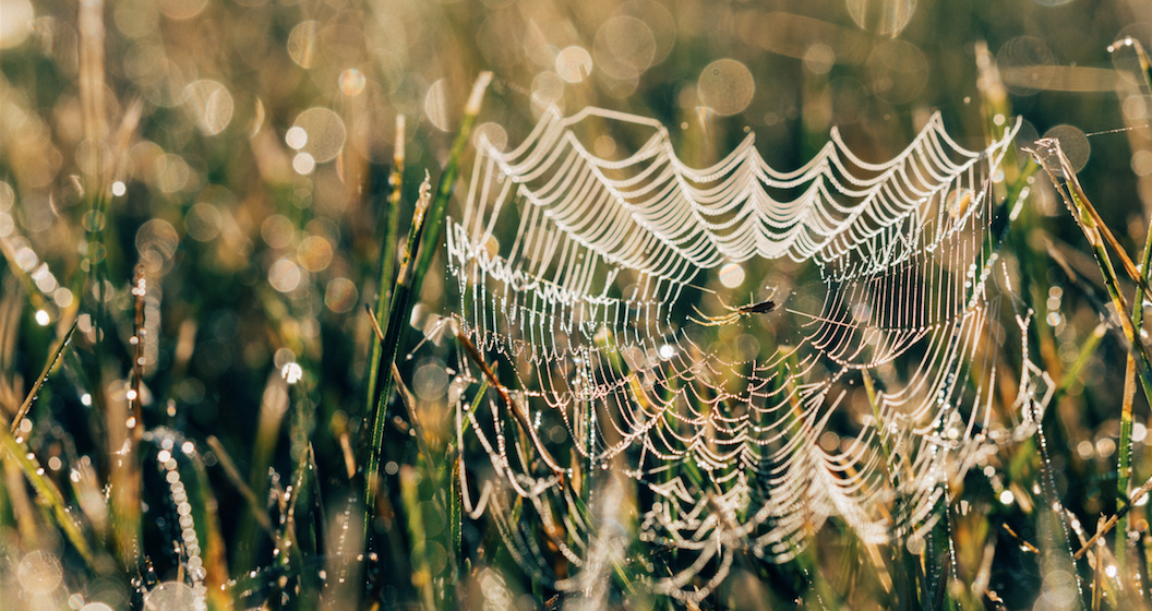 IELTS Essay Top Tip 1/10: Don’t Fall into Traps! | by Agnieszka Nowicka ...