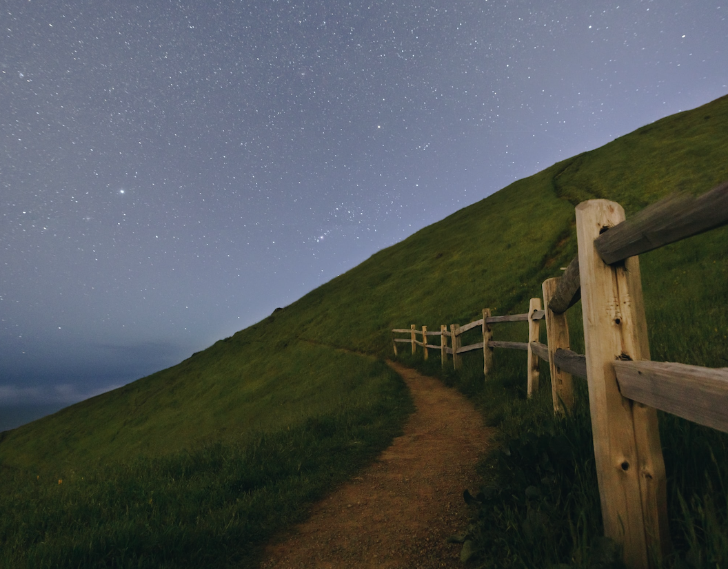 Let The Path Choose You. Change your life now! | by Ellenit Hernandez ...