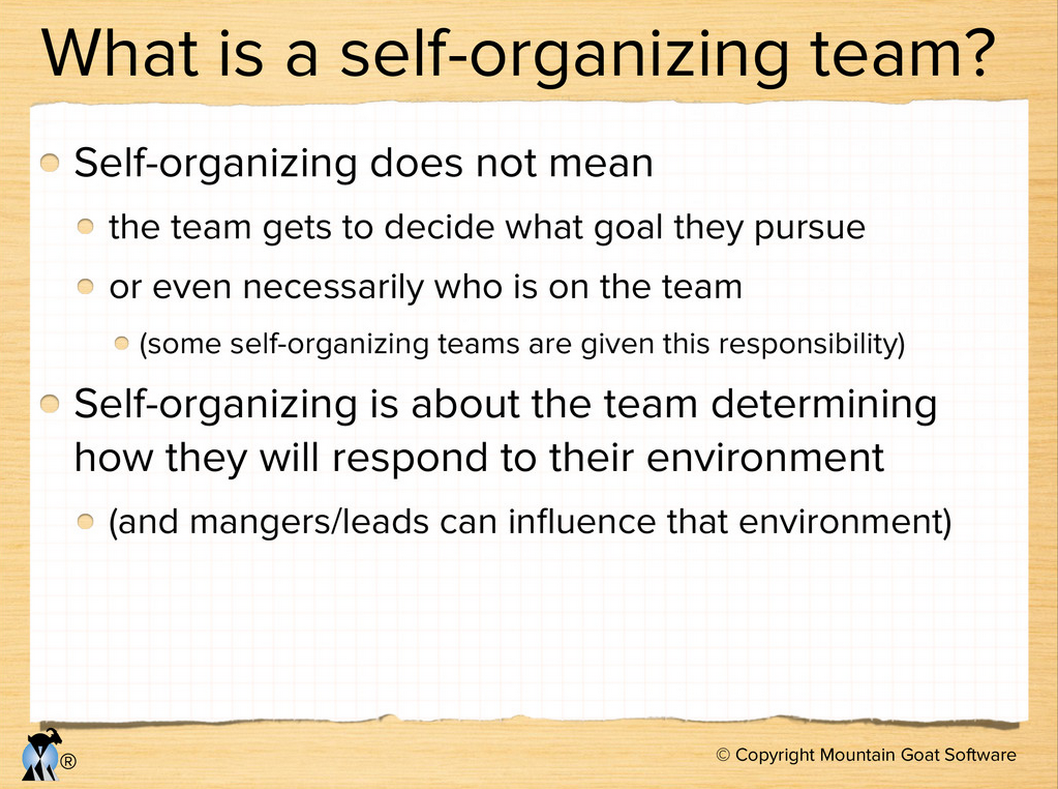 Self-Disorganizing Team. เราและคนใหญ่คนโตส่วนมากพูดกันอยู่บ่อยไปว… | by ...