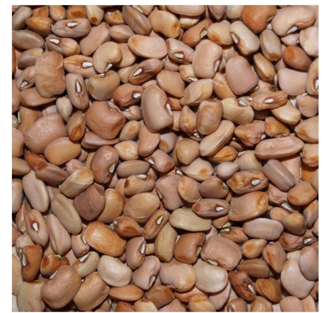 AFRICAN HONEY BEANS. Growing up, most kids like me disliked… | by ...
