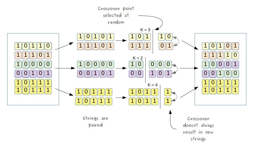 Introduction to genetic algorithms | Analytics Vidhya