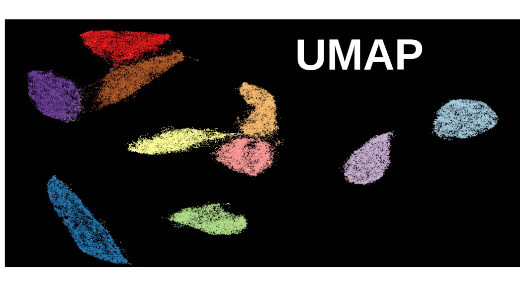 UMAP Variance Explained. A simple way to interpret UMAP… | by Nikolay ...