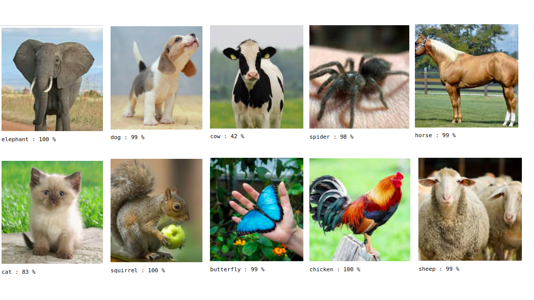 Deep Learning For Image Classification — Creating Cnn From Scratch Using Pytorch By Abhishek 8740