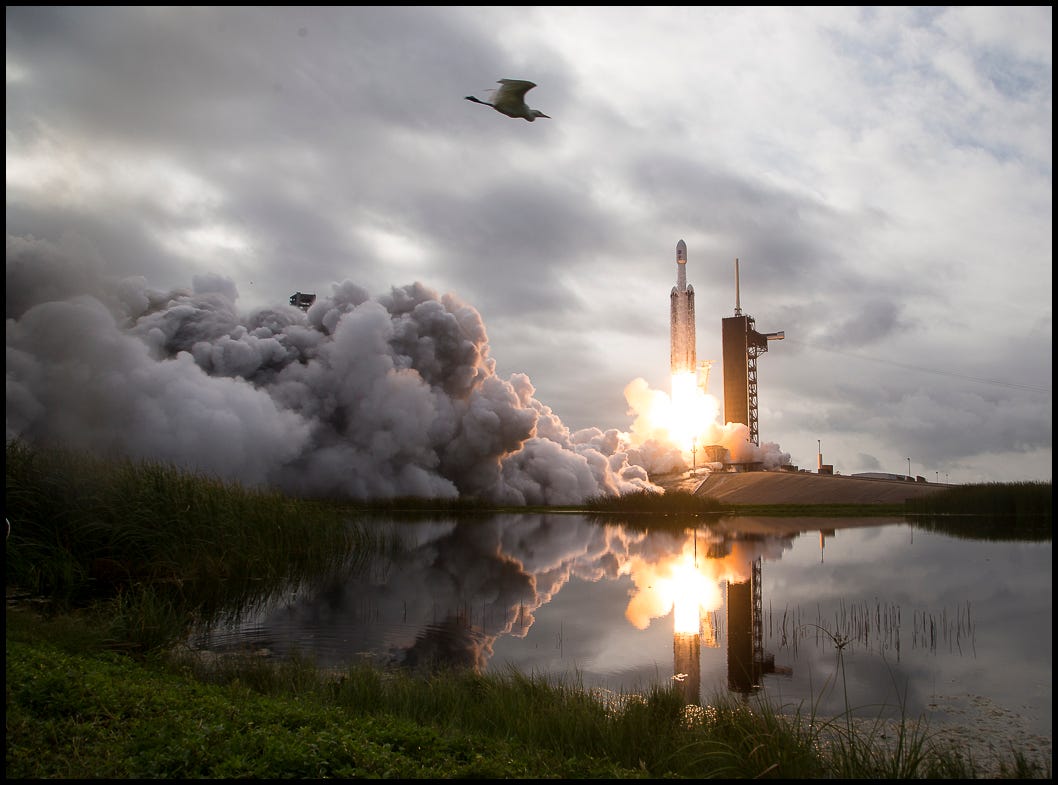The Digital Renaissance: Elon Musk’s Mastery of Social Media Marketing | by Qixin Wang | Medium