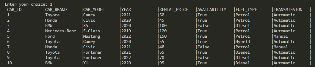 Building a Rental Car Management System(CRUD) in Python | by Christofer ...