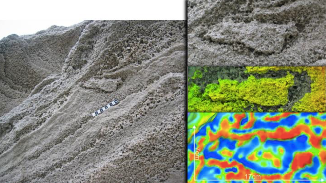 Neanderthal Footprints of the Past | by Stance Hurst, PhD | Thoughts on ...