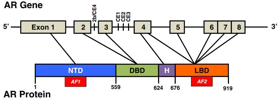 Complete Process DMPK Service Helps PROTAC Drug Development | by Xiao Mei | Medium