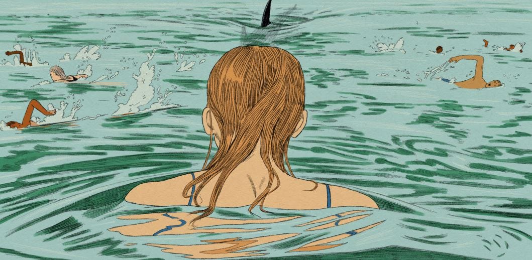 Facing the Shark. Have you ever encountered the thing… | by Anny Ibarra | Medium