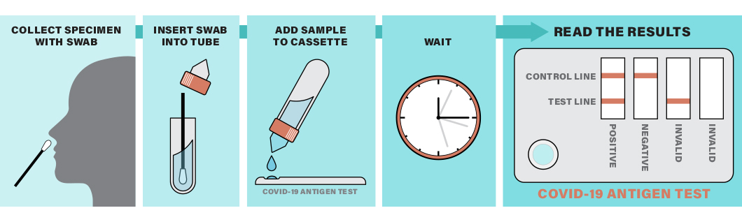 Is an Antigen Test Right for Me?. Fast facts about antigen tests and ...