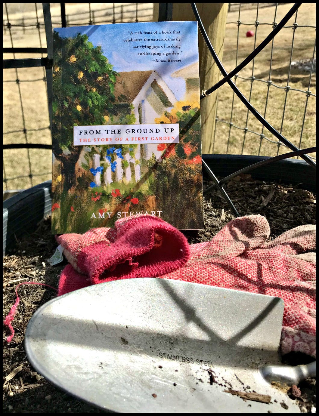 My Selection — From the Ground Up | by Susan Foster | Literary ...