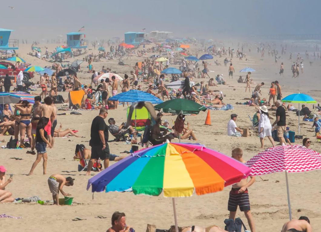Orange Coast College Spring Semester