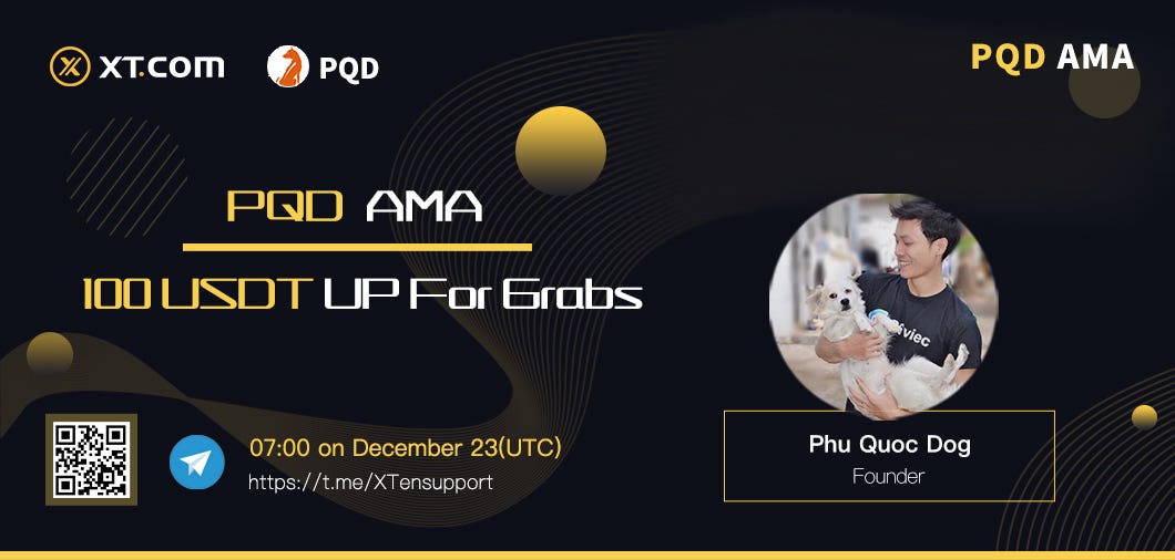 PQD & XT.com AMA Q&A Review. Host: XT.COM | by XT Exchange | Medium