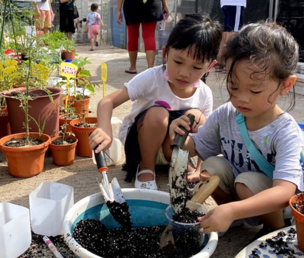 SME Spotlight: City Sprouts redefines urban farming | CareerContact