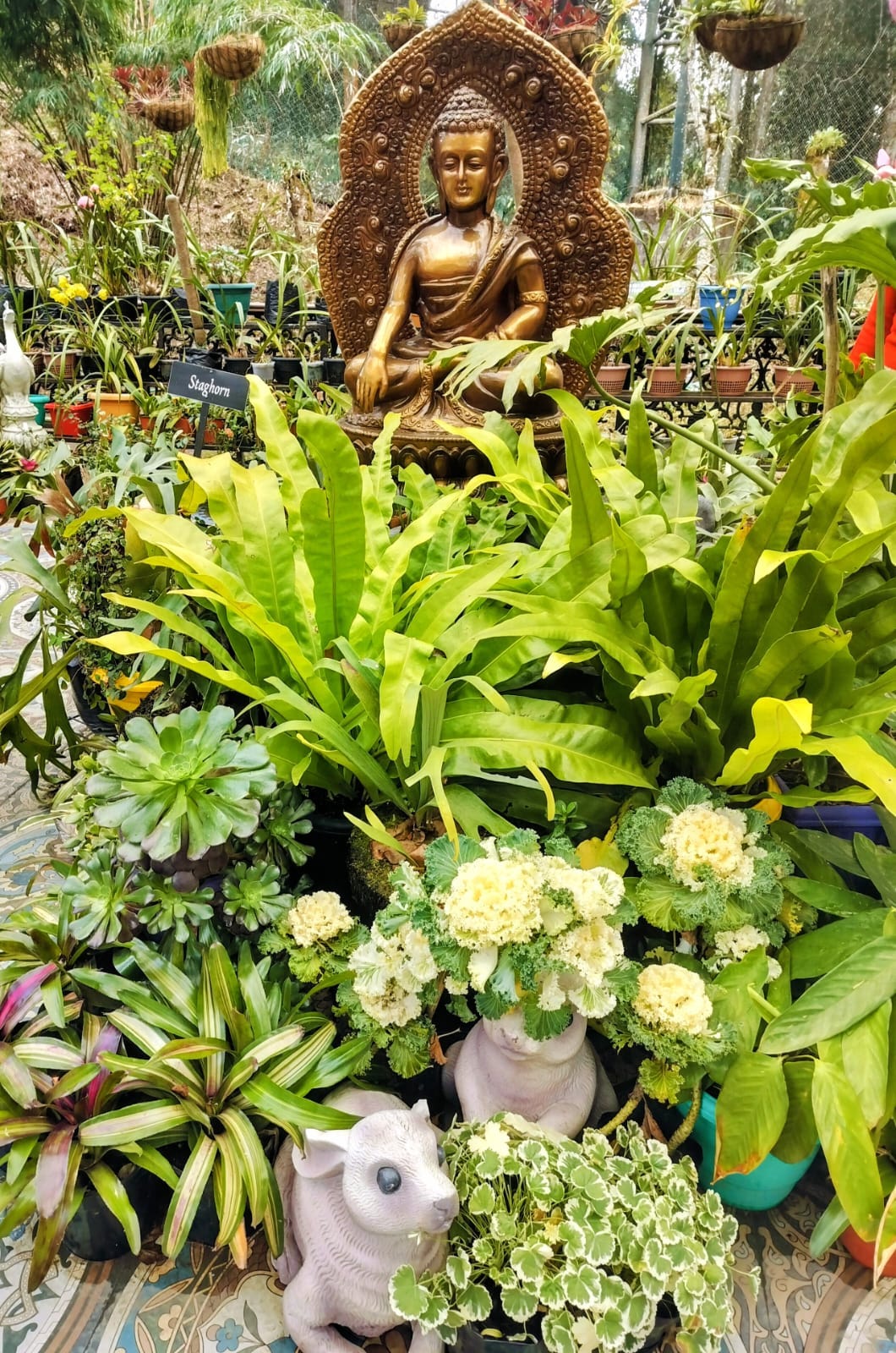 Bloom within. January Six Word Photo Story Challenge… | by Promising ...