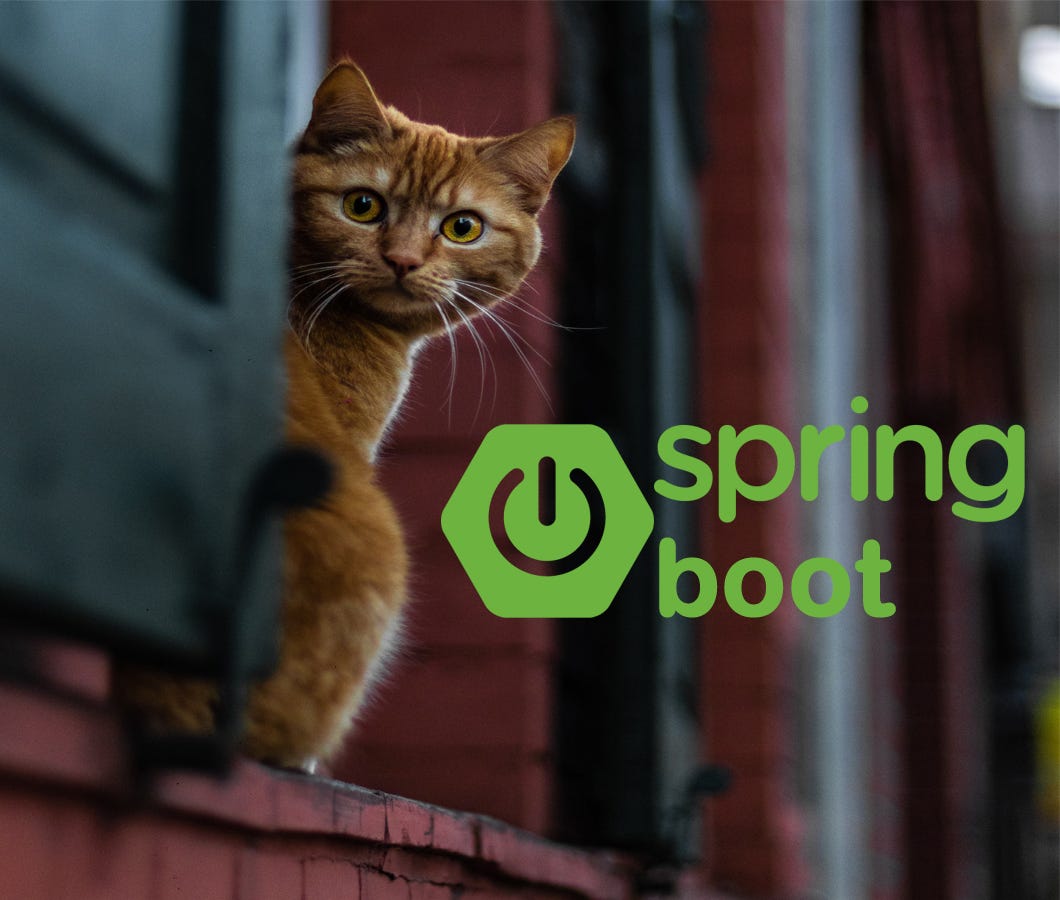 Spring boot “Hello Cat” Application for beginners. | by Vimal Maru | Medium