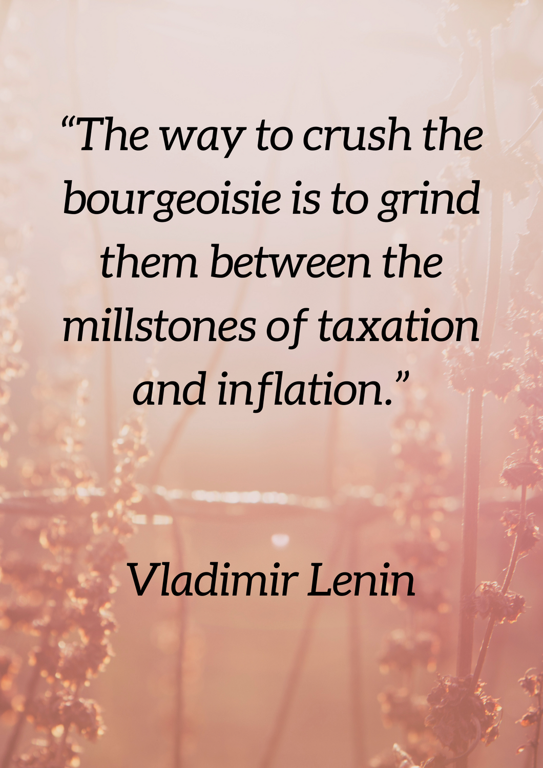 Vladimir Lenin Famous Quotes