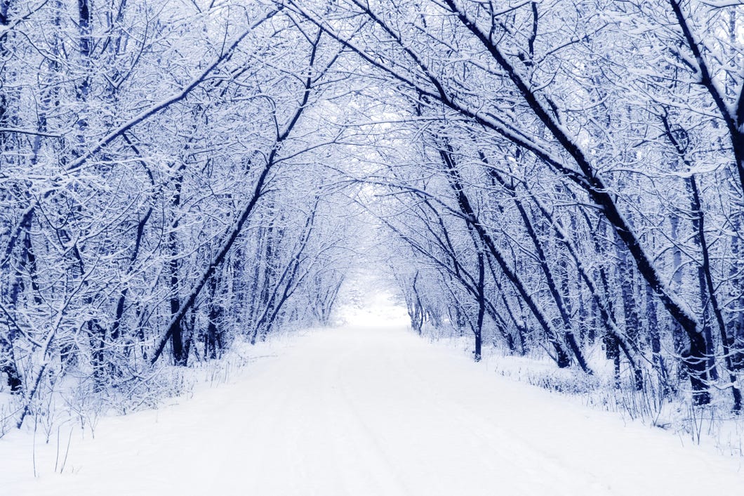 The Indignity of Being Out in the Cold Without a Proper Coat | by Loren ...