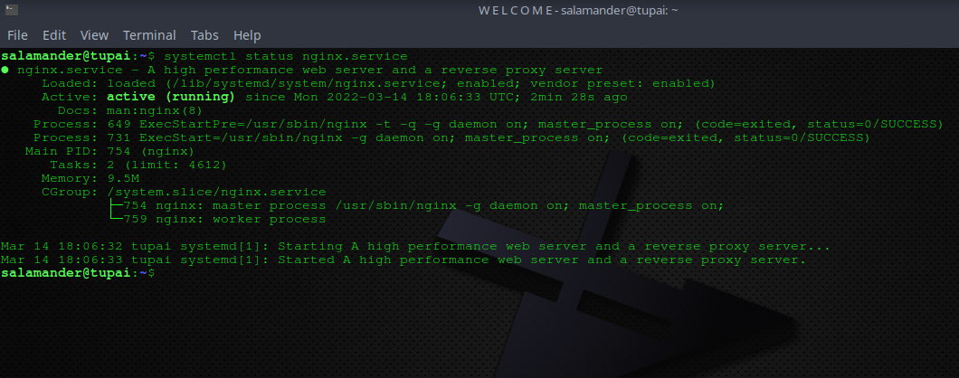 [TUTORIAL] Instal Nginx di Ubuntu Server 20.04.4 LTS | by Ahmadsulaeman | Medium