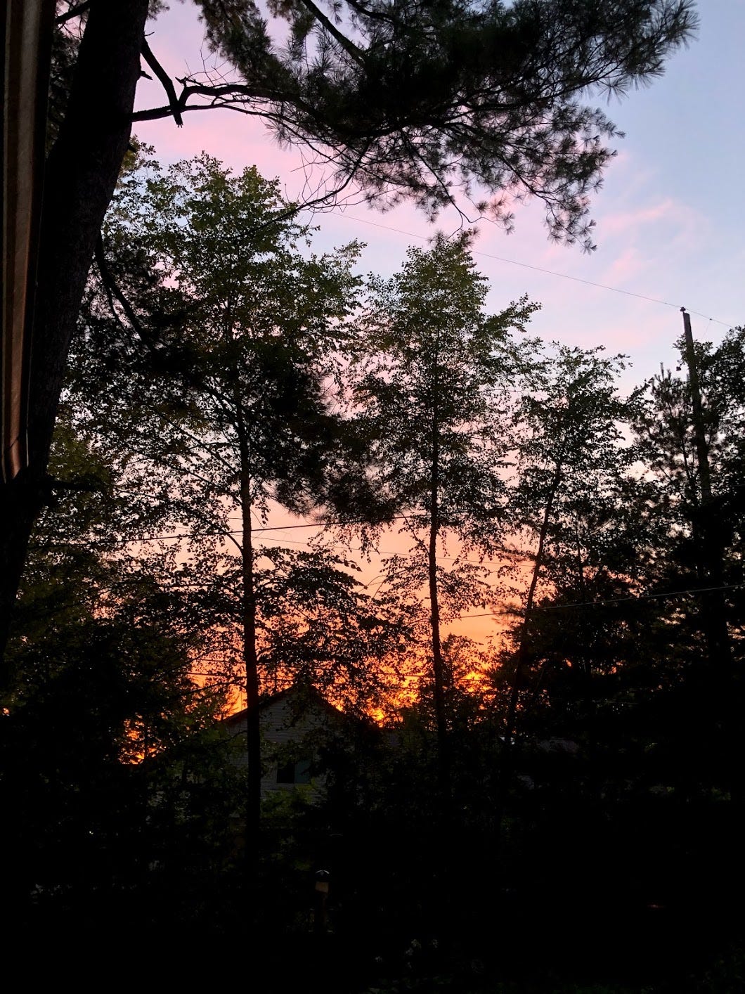The day after the summer solstice - Jan Worth-Nelson - Medium
