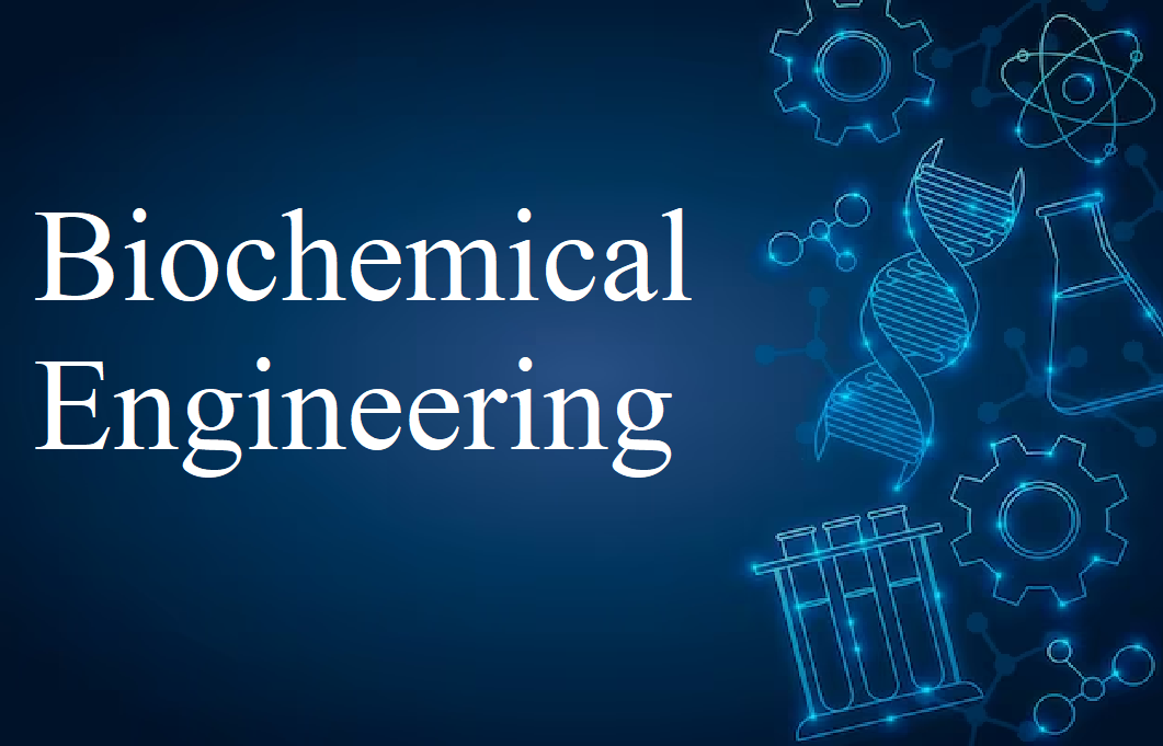 Key Concepts in Biochemical Engineering: An Overview for Beginners | by ...