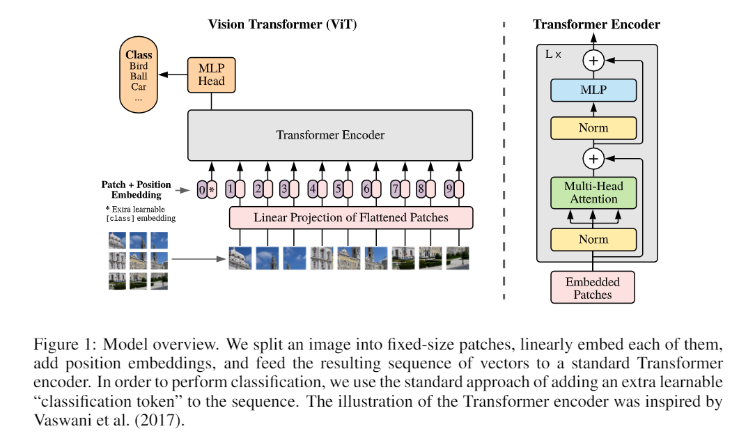 An Image is Worth 16x16 Words: Transformers for Image Recognition at ...