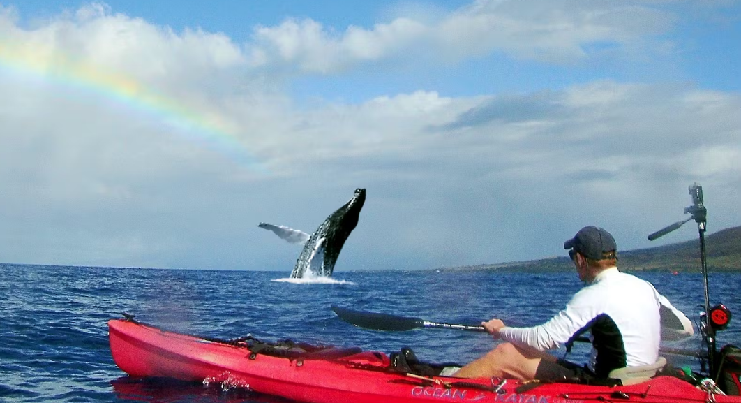 Maui Magic: Navigate the Enchanting Depths of Hawaii’s Aquatic Paradise ...