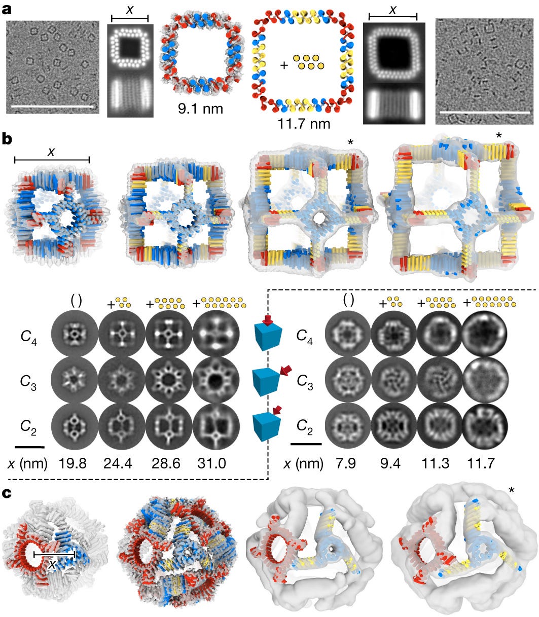 Blueprinting extendable nanomaterials with standardized protein blocks ...