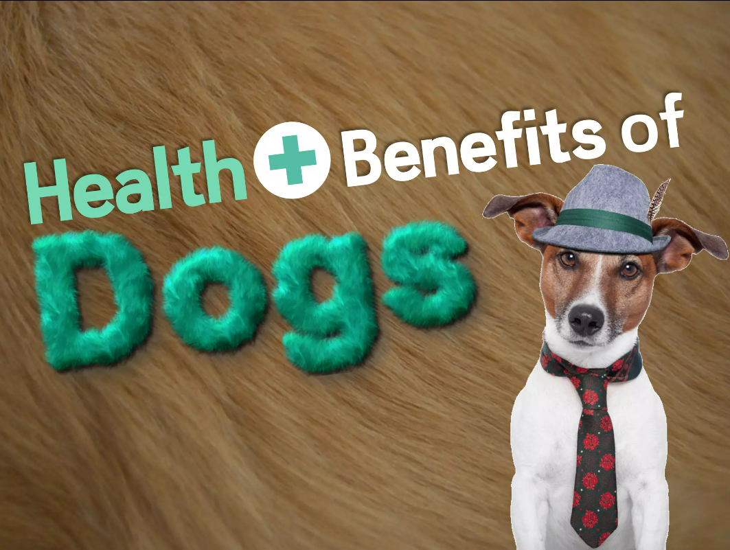 The Health Benefits of Dogs. Canines are known to be man’s dearest ...