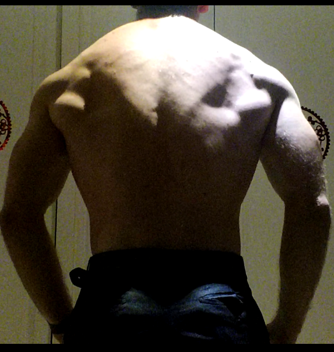 Back to Basics: The Complete Guide to Back Training | by Geoffrey ...
