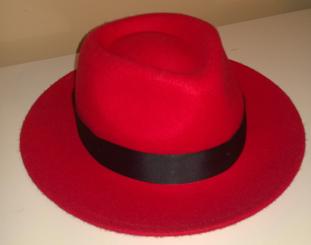 My first week as a Red Hatter. Almost a week ago I had the chance to ...